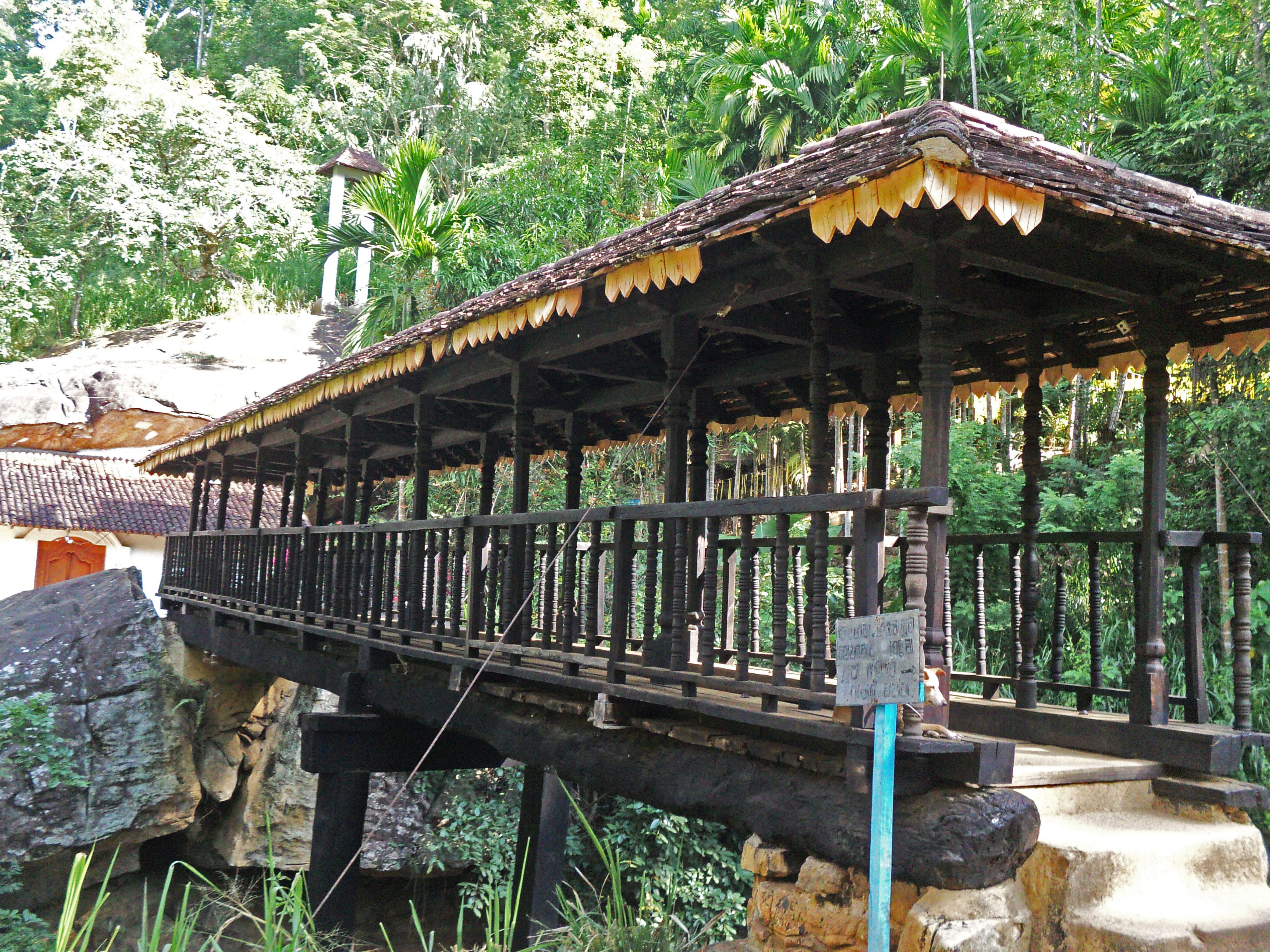 Misty mountains of Badulla – Extraordinary pages of an ordinary life